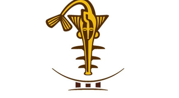 Regards croisés sur le FCFA : que faut – il retenir ? – L'Afrique des idées